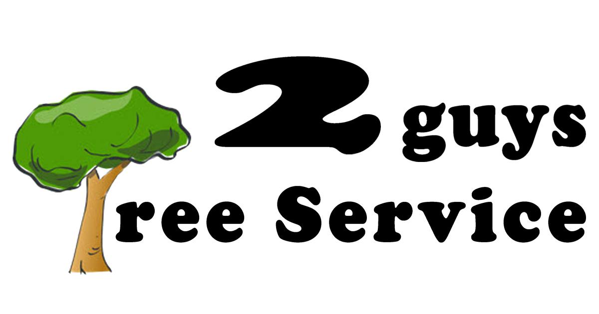 2 Guys Tree Service Home Page - 2 Guys Tree Service, Fort Wayne, IN